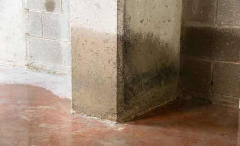 How To Store Things In A Damp Garage